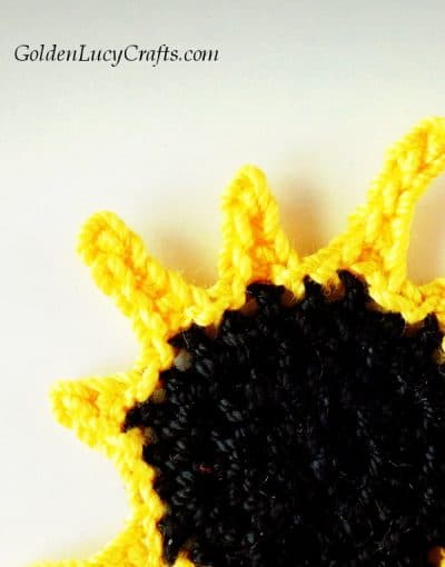 Total Solar Eclipse Applique, Free Crochet Pattern - GoldenLucyCrafts