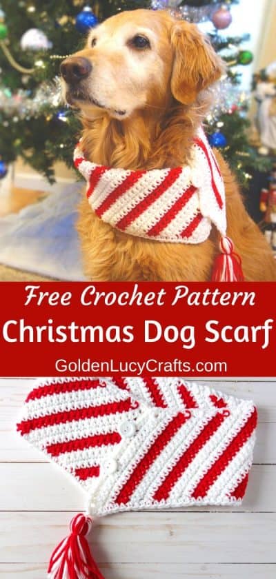 Dog Scarf for Christmas, Free Crochet Pattern - GoldenLucyCrafts