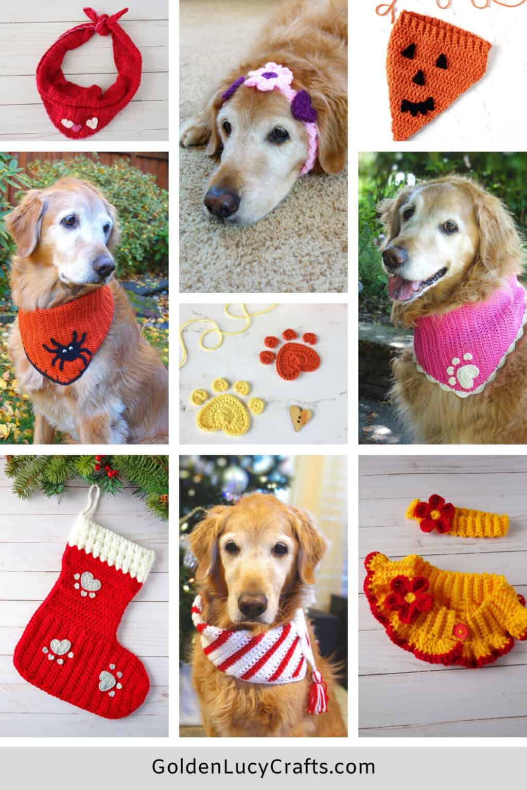 Crochet Dog Collar and Headband, Free Crochet Pattern - GoldenLucyCrafts