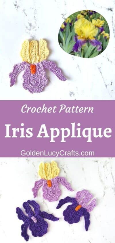 Iris Applique, Free Crochet Pattern - GoldenLucyCrafts