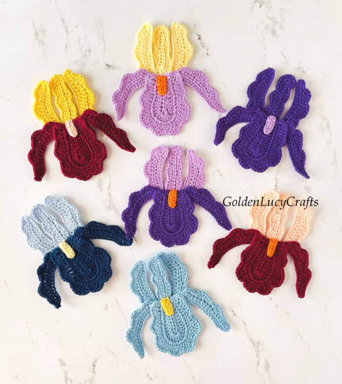 Iris Applique, Free Crochet Pattern - GoldenLucyCrafts