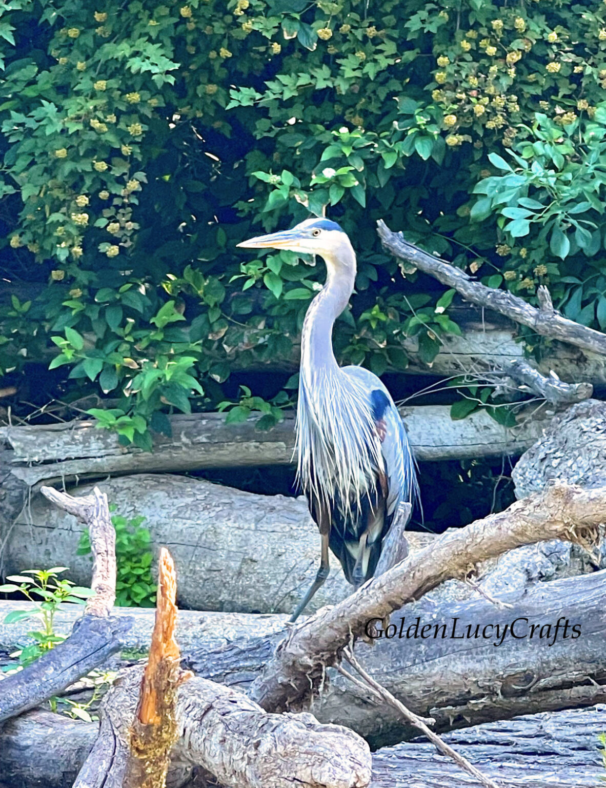 Blue Heron Crochet Wall Art - GoldenLucyCrafts