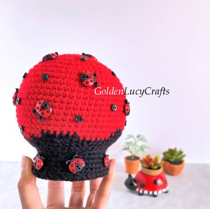 Crochet Ladybug Snow Globe - GoldenLucyCrafts