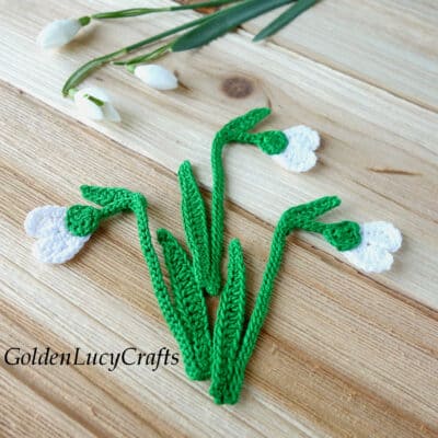 Snowdrop Applique, Free Crochet Pattern – GoldenLucyCrafts