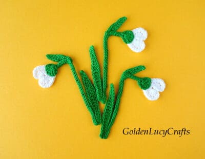Snowdrop Applique, Free Crochet Pattern – GoldenLucyCrafts