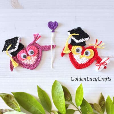Crochet Graduation Owl Applique - GoldenLucyCrafts