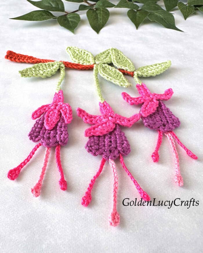 Fuchsia Crochet Pattern - GoldenLucyCrafts