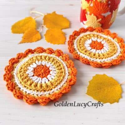Fall Coaster Crochet Pattern - GoldenLucyCrafts